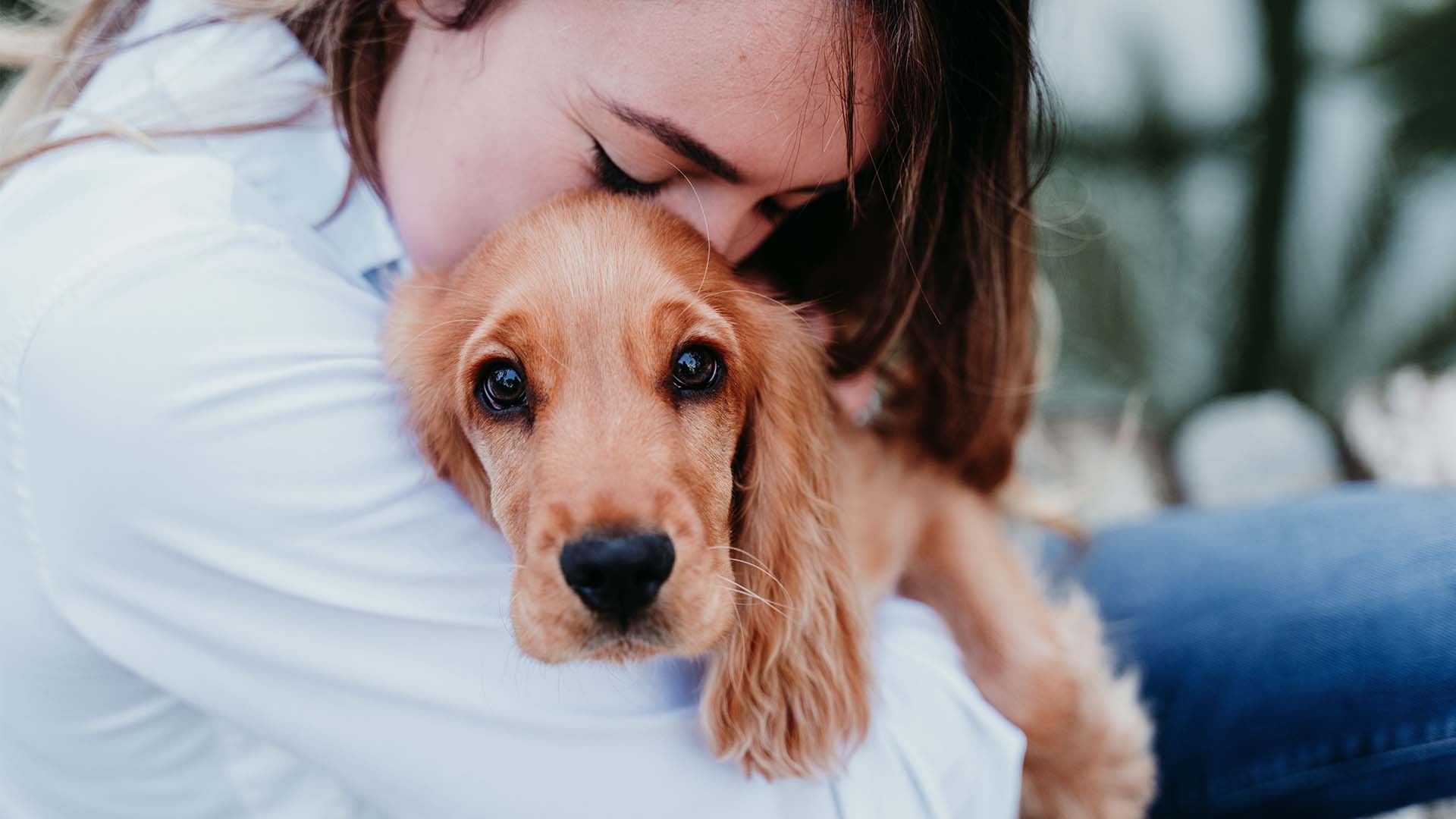 Echuca Vet Clinic | Perricoota Vet – Expert Local Pet Care
